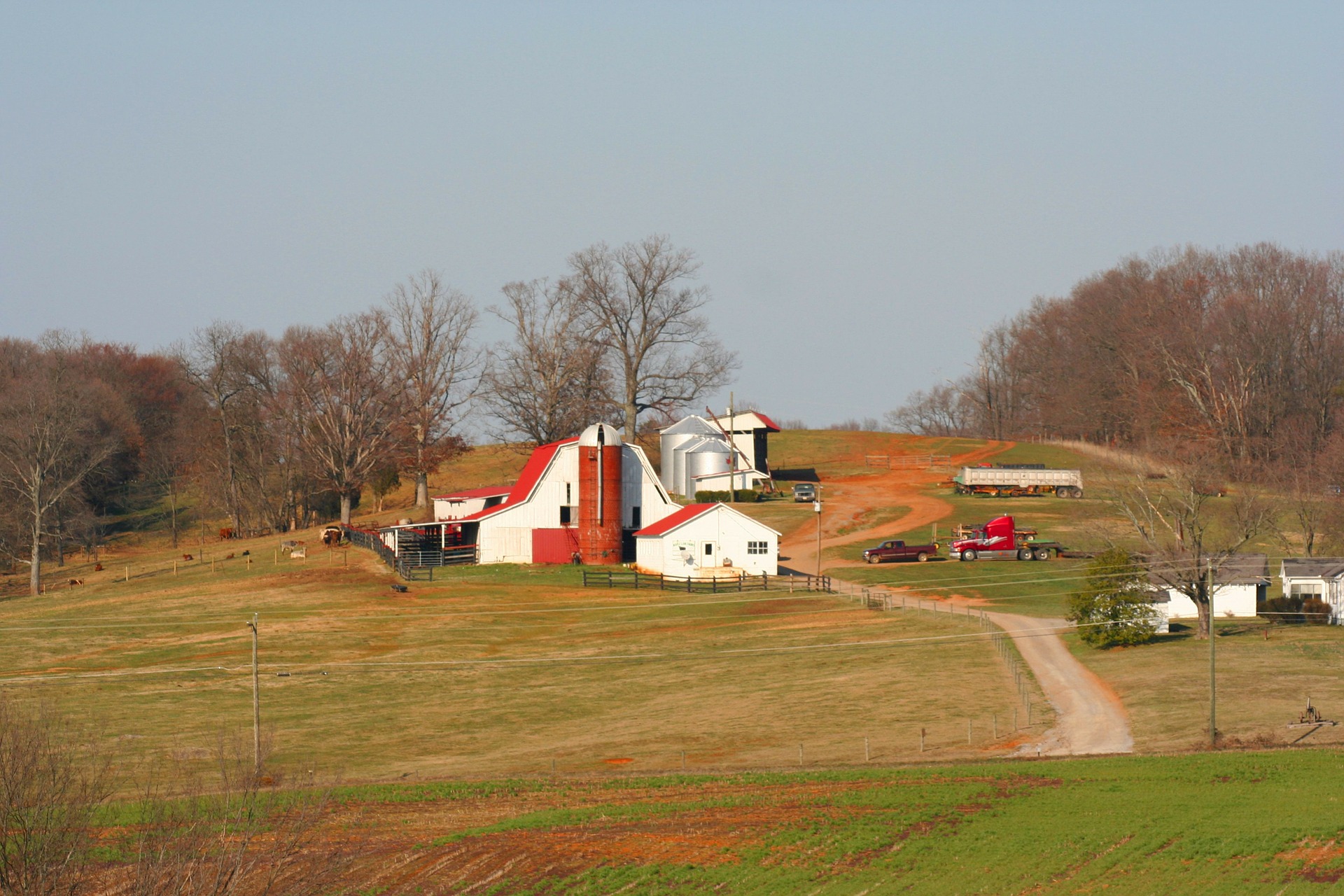 Tipton County | Tipton County